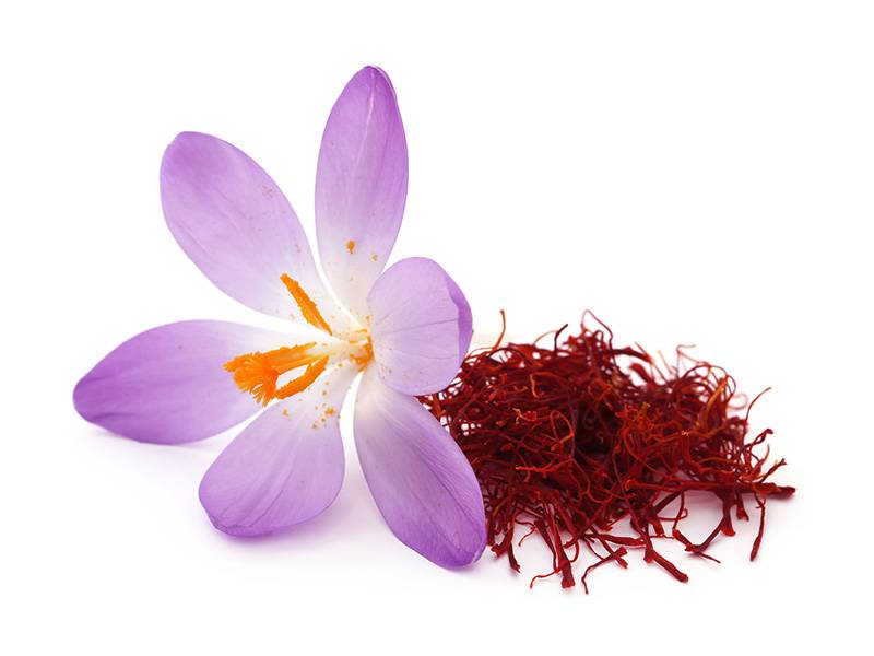 EXOTIC PRODUCTS - Green2Gro